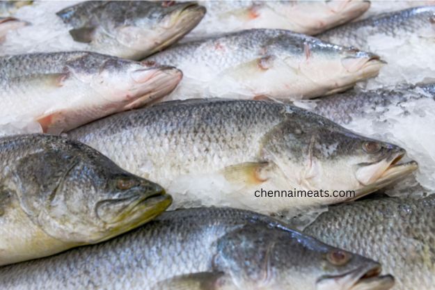 Get Unpreserved & Succulent Emperor / Vilai Meen Online at Chennai Meats